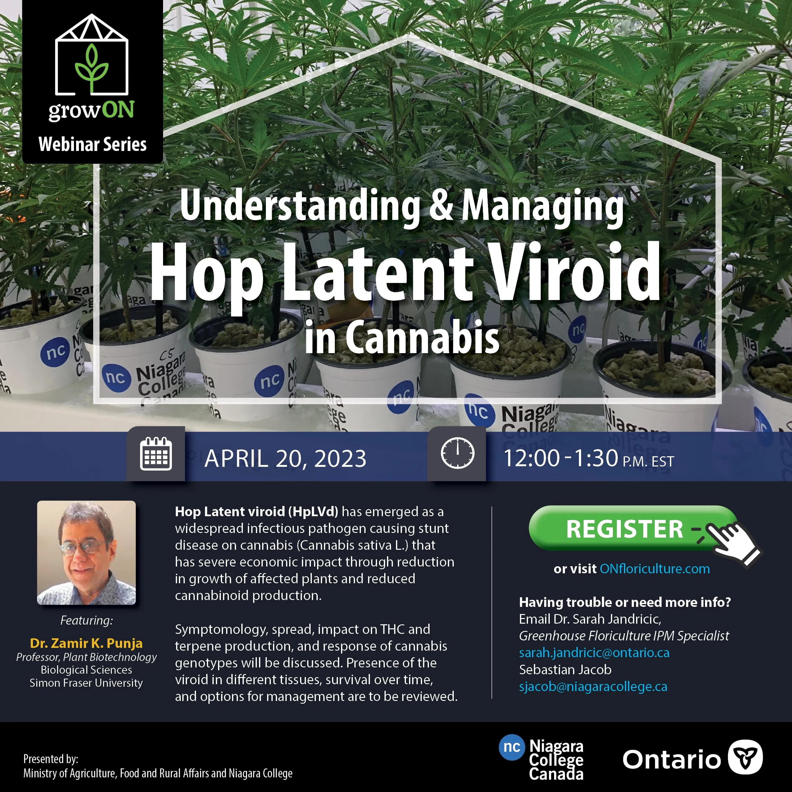 Cannabis Webinar on 4/20: All You Need to Know About Hop Latent Viroid ...